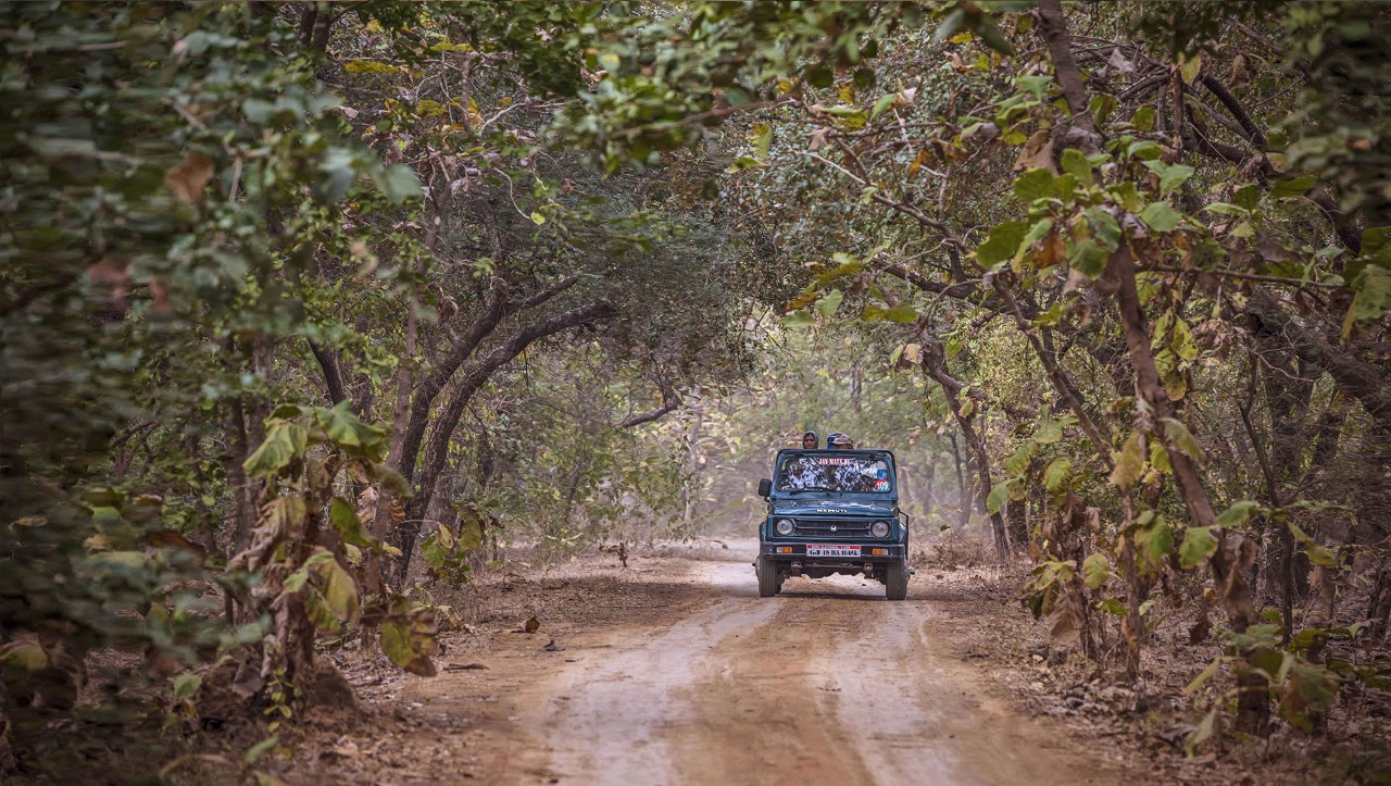 Registered Tour Operators Registered Tour Operators